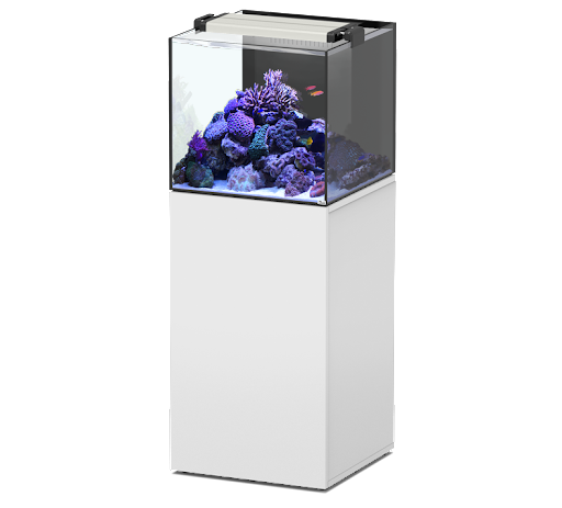 AQUAVIEW 50 AQUARIUM + CABINET 93L 1WD WHITE - 50x50x45cm| Paws & Relax